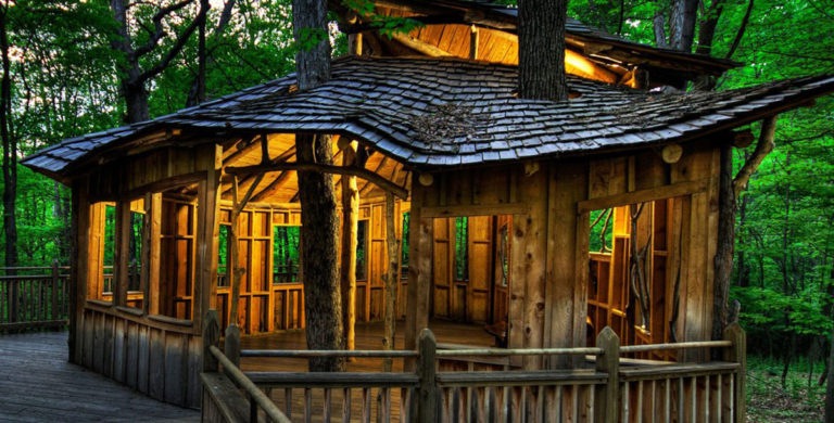 Treehouse building tips : Grand Designs Magazine