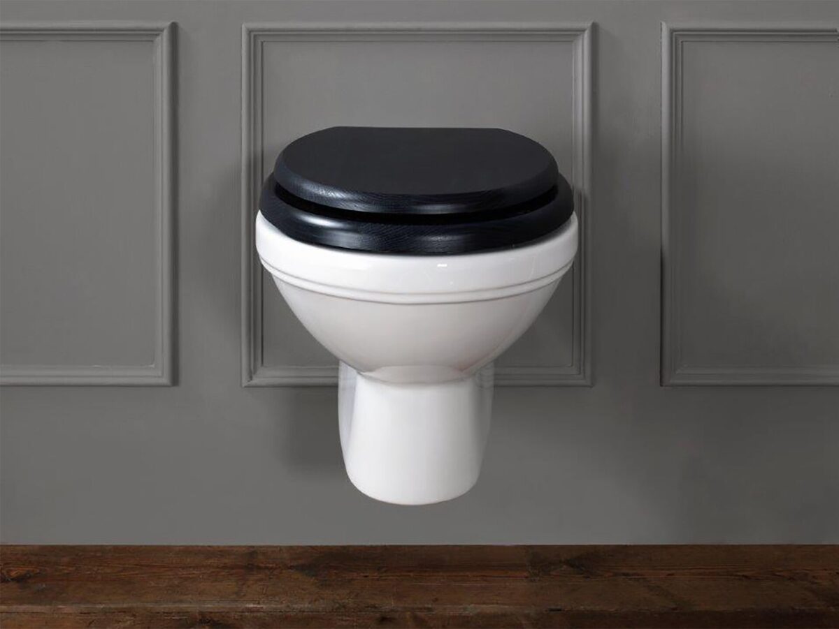 Why Choose a Back-to-Wall Toilet for Your Bathroom : Grand Designs Magazine