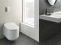 Smart Toilets: The Future of Bathroom Technology? : Grand Designs Magazine