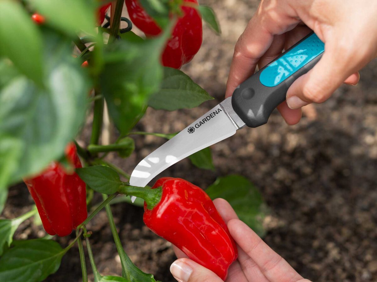 No-dig gardening guide - Grand Designs Magazine : Grand Designs Magazine