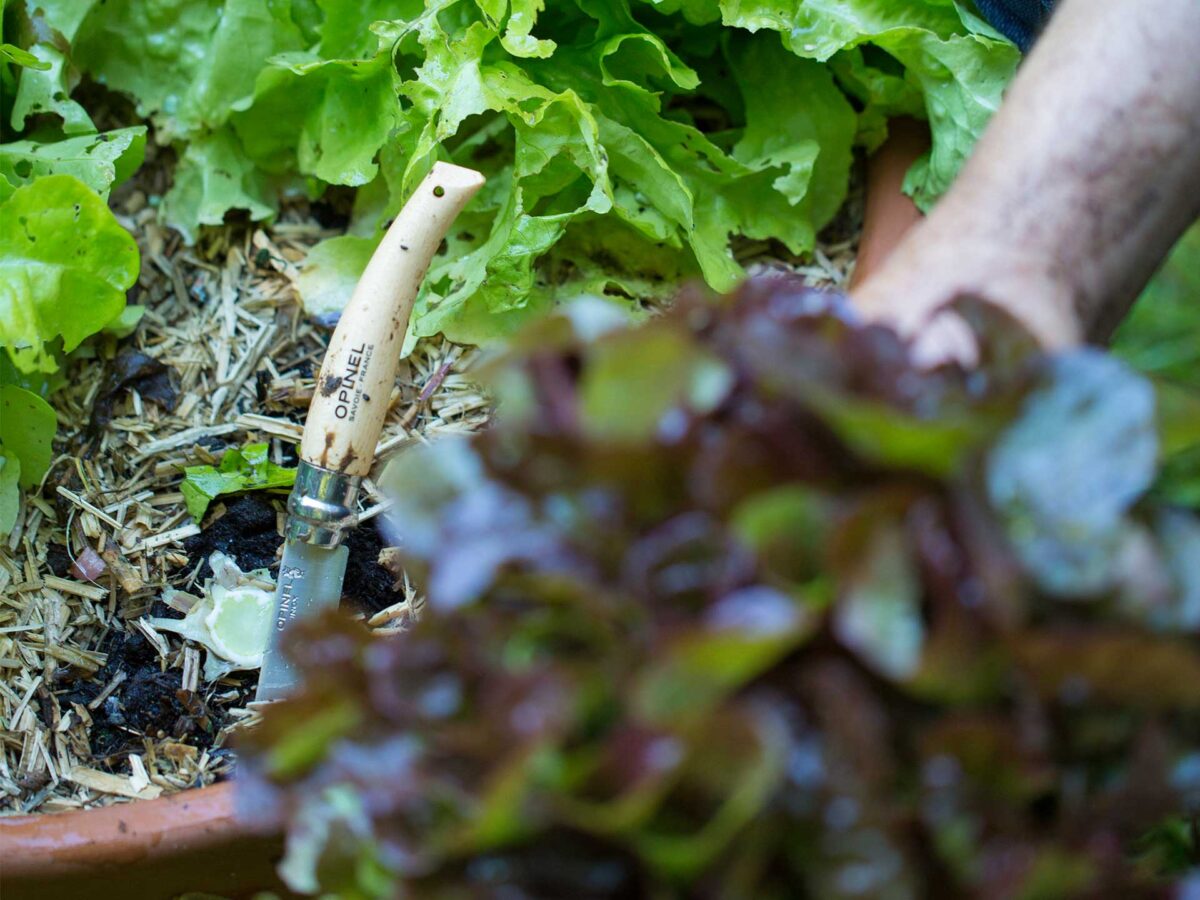 No-dig gardening guide - Grand Designs Magazine : Grand Designs Magazine