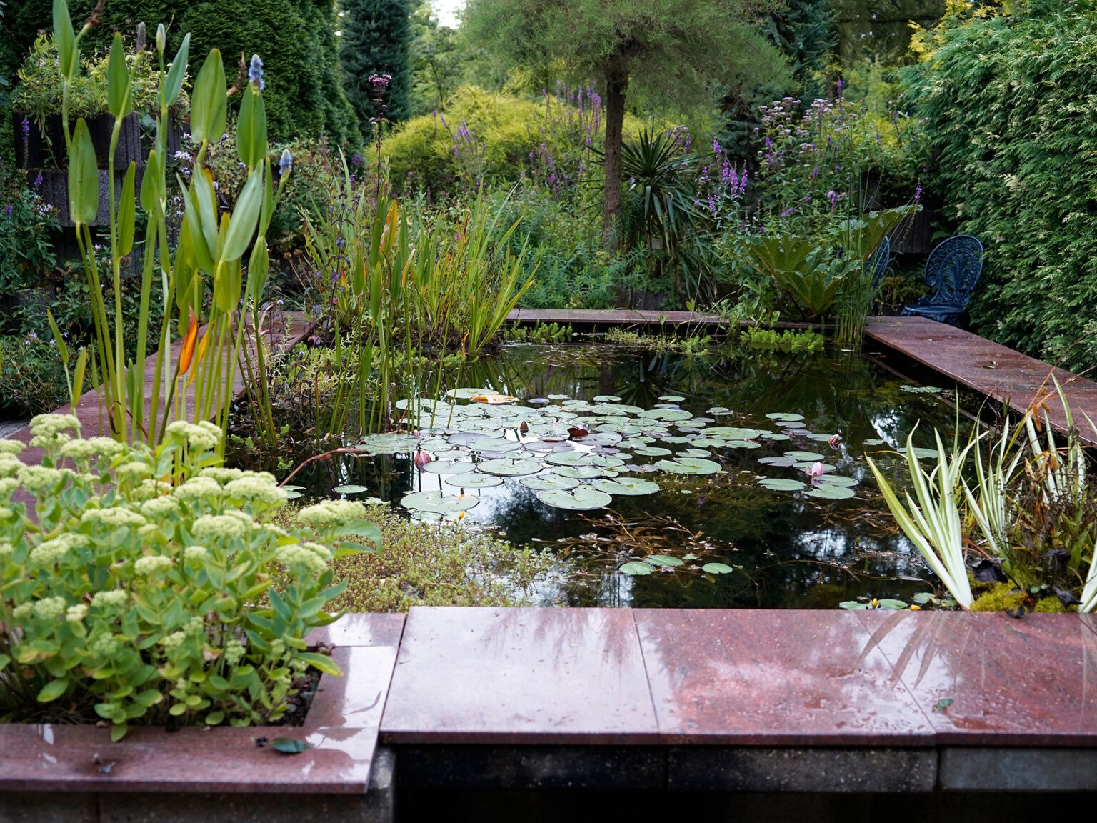 How to create the perfect pond - Grand Designs Magazine : Grand Designs ...