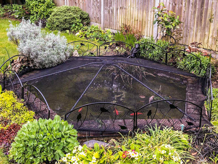 How to create the perfect pond - Grand Designs Magazine : Grand Designs ...