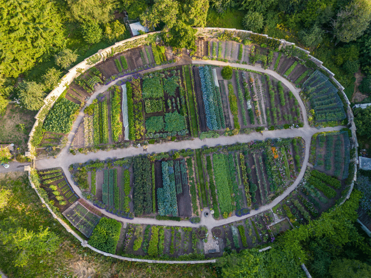 How to design an edimental garden : Grand Designs Magazine
