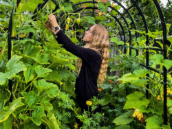 How to design an edimental garden : Grand Designs Magazine
