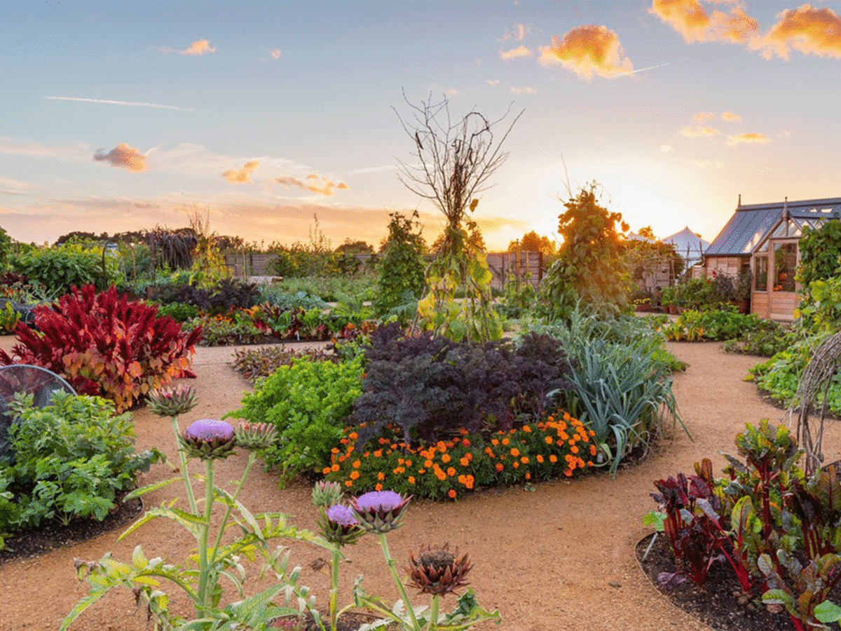 How to design an edimental garden : Grand Designs Magazine